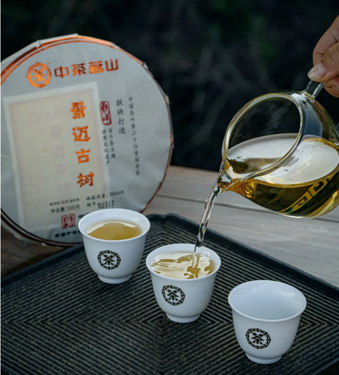 YN12 Jingmai Ancient Tree Puerh Tea